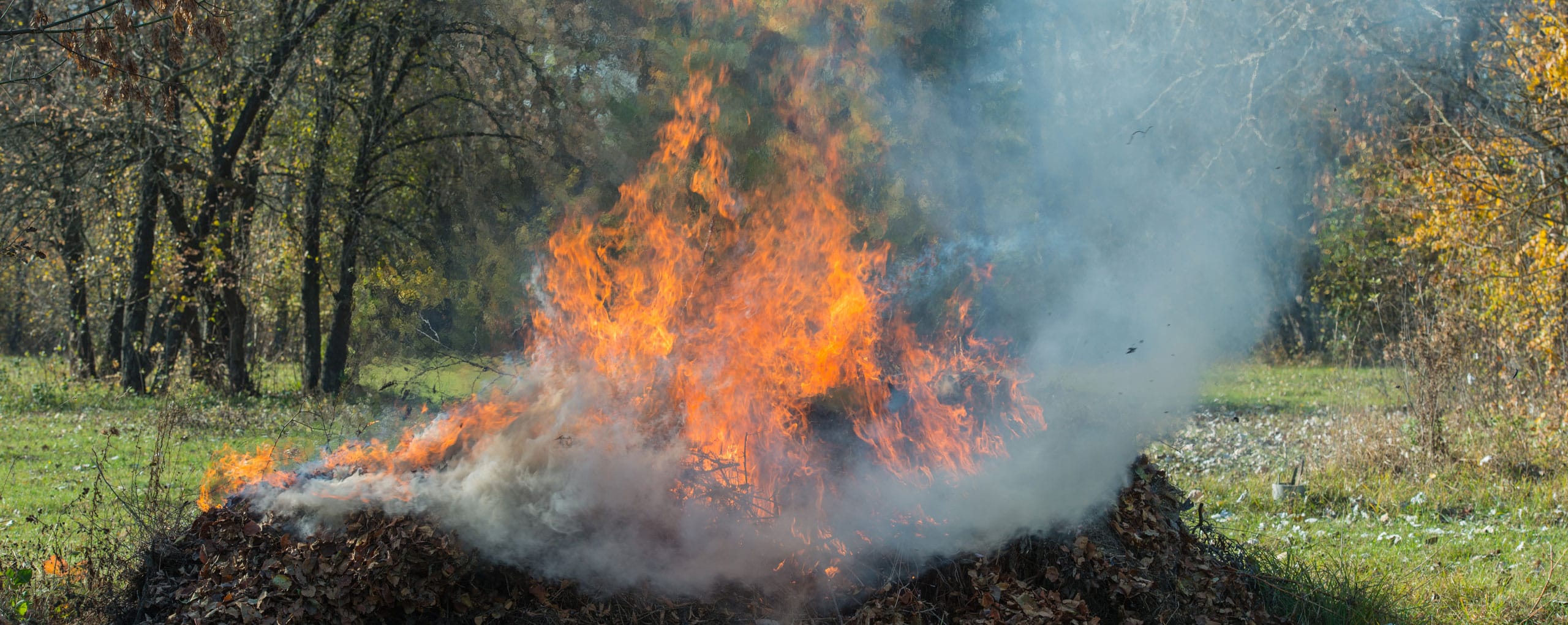 Burn Information - Central Douglas Fire & Rescue